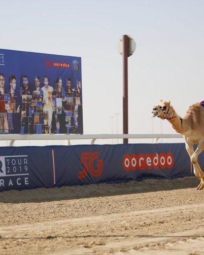 Portfolio Grid Style - CMS TRADING